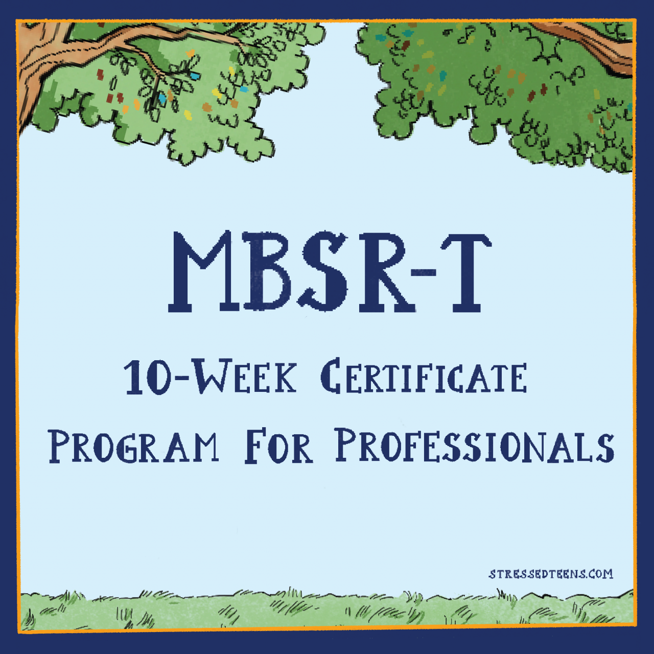 10-Week Certificate Training on the Mindfulness-Based Stress Reduction ...